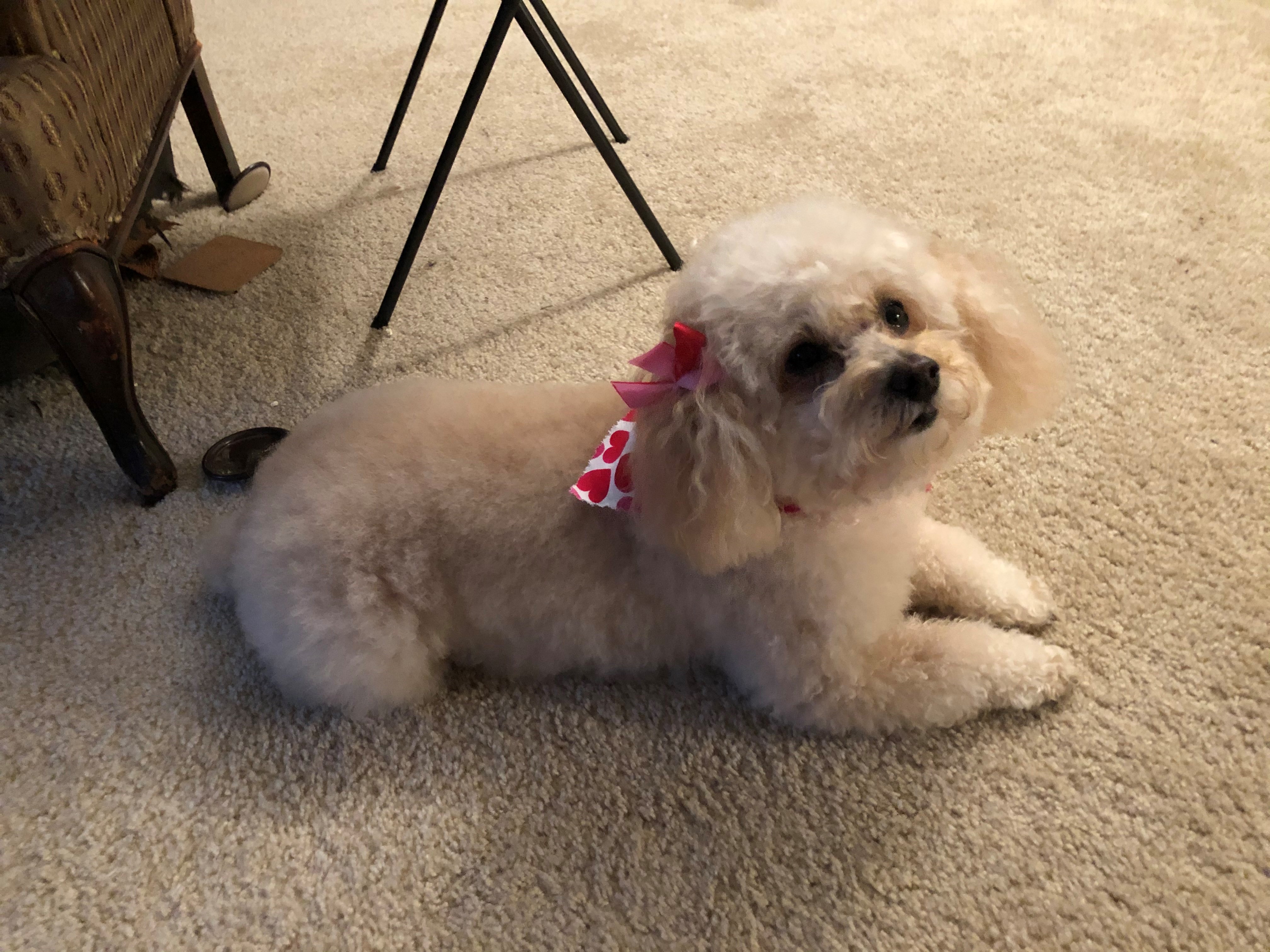 Dr. Sadie Gregerson to Become New Archaeology Professor – The Insider